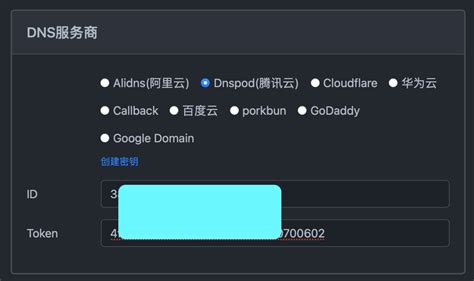 使用Docker下DDNS GO搭建DDNS实现动态域名解析 乱世沉浮 永远年轻永远热泪盈眶