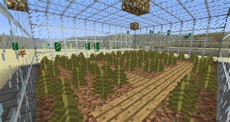 Weed Plantation Minecraft Map