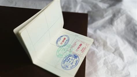 Exploring The Different Types Of New Zealand Visas Which One Is Right