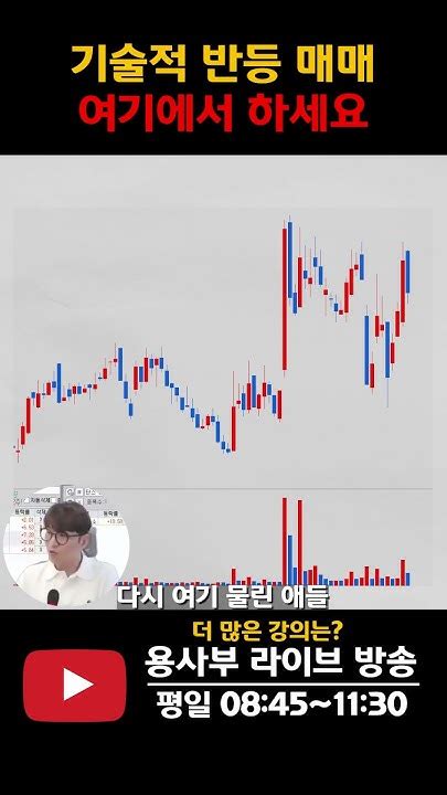 기술적 반등을 이용하여 주식투자 매매하는 방법 Youtube