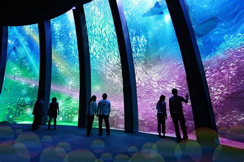 写真417｜八景島シーパラダイスで「楽園のナイトアクアリウム」夜空に浮かぶ光のピラミッドが出現 ファッションプレス