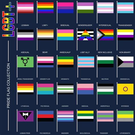 Conjunto De Banderas De Orgullo De Identidad De Género Símbolos Lgbt