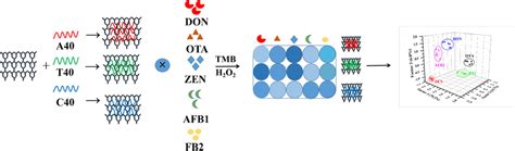 Schematic Of The Colorimetric Sensor Array For Discrimination Of