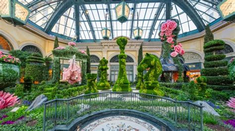Bellagio Pool Hours Cabana Map And Drink Menu In 2025