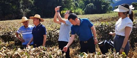 暖心！抗洪救灾进行时，爱心涌动英德茶行业指导广东省受灾