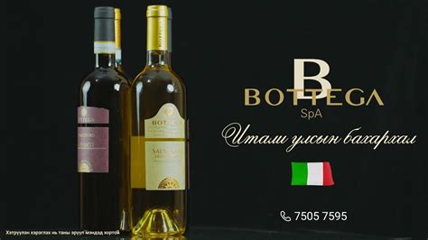 Bottega WINE - YouTube