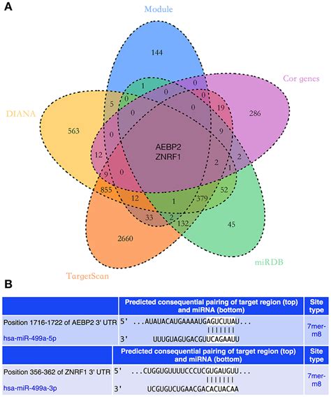 A The Venn Diagram Showed The Intersection Of Three Online Databases