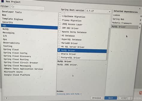 Mybatis连接mybits Csdn博客
