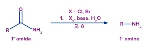 Amide Definition Preparation Nomenclature And Properties Aesl