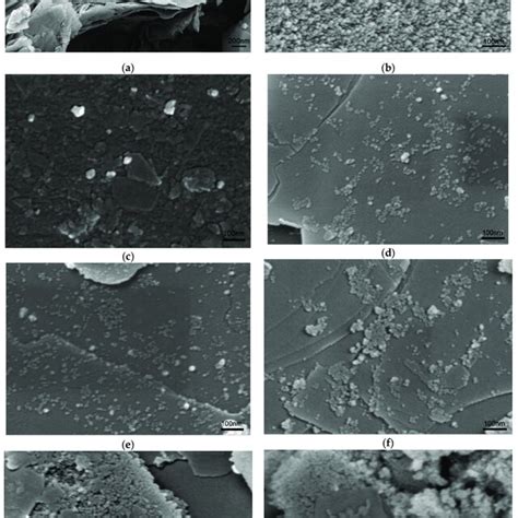 Sem Morphologies Of Samples A Vt B Tio 2 C Comp 1 8 D