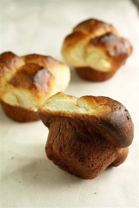Bubble Top Brioche Hummingbird High