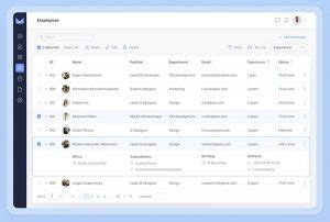 Data Table UI Design Guide Examples