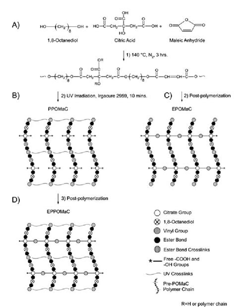 Table 1 From Synthesis And Characterization Of A Biodegradable