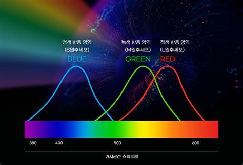 인간의 눈에 더 가까이 시각 인지 원리에 맞춰 진화하는 디스플레이