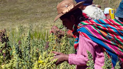 Midagri Más De Medio Millón De Mujeres Realizan Actividades