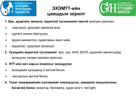 Эрэмбэлэн ангилалт яаралтай тусламж хичээл