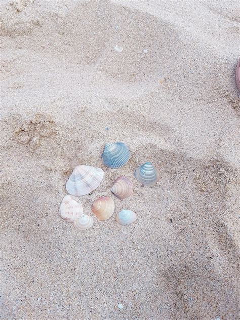 노인전용평생바우처 어르신 교육비 지원사업