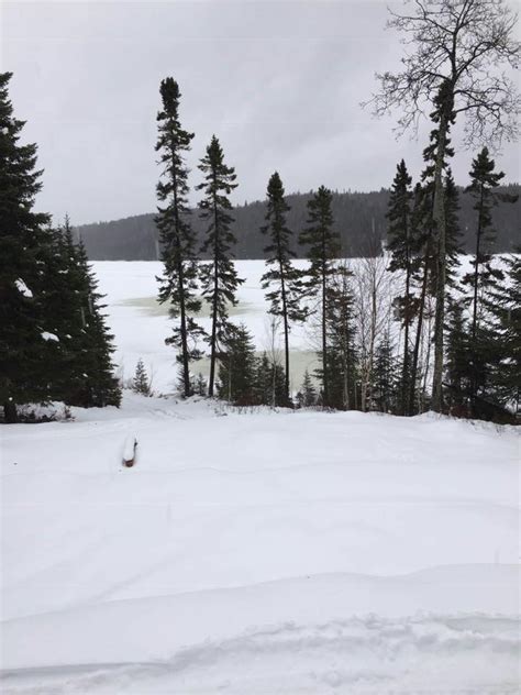 Circulation Hivernale Zec Jeannotte Et Zec Bessonne