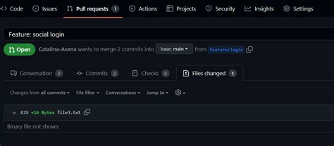 Git Github Binary File Not Shown Stack Overflow