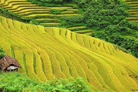 Top 15 Tour Du Lịch Sapa Mới Nhất Năm 2022 Kiến Thức Cho Người Lao