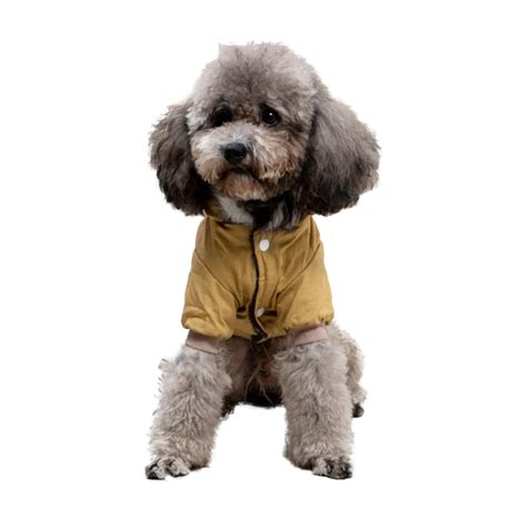 Warm Dog Winter Coat Dog Cold Weather Coats Windproof Hoodie Coat With