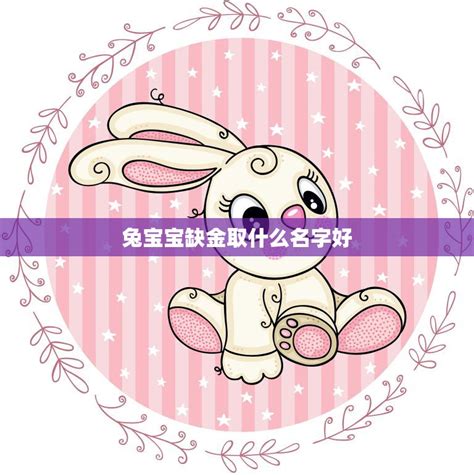 兔宝宝缺金取什么名字好 如何为你的宠物兔子取名