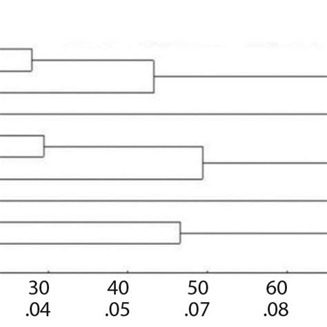 Upgma Dendrogram Generated From The Matrix Of Genetic Distance By Nei