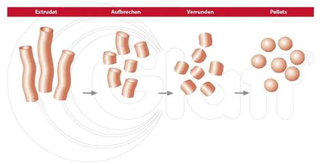 Extrusion Spheronization Glatt Integrated Process Solutions