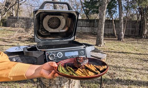 Ninja Woodfire Outdoor Grill Review Homes And Gardens