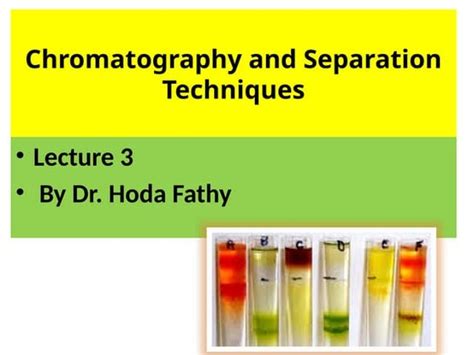 Immunochromatography Pptx Rapid Tests Kits Ppt