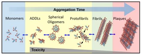 Amyloid Beta Medicinwiki