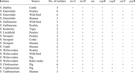 Virulence Gene Profiles Of Field Isolates Of Salmonella Virulence Genes Download Table