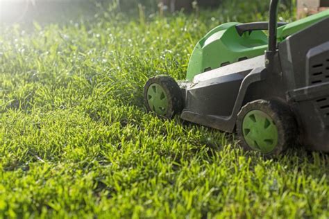 Get Grass Cutting Schedule Service Today