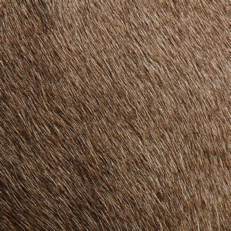 Skin Yusuke Sakai Photo