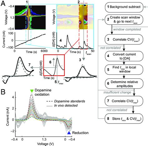 Automated Detection Of Dopamine A Flow Chart Diagram Of Developed
