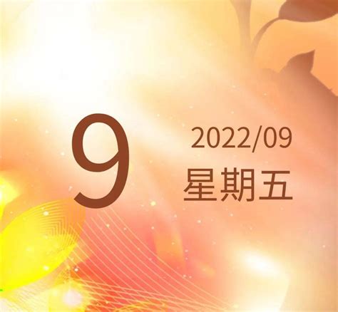 阅读日历向阳生长 9月9日宜报之以歌 生活 新海诚 她和她的猫