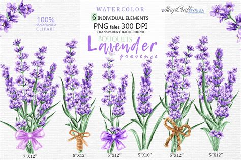 Lavender Clipart Png