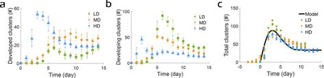 Dynamics Of Cluster Evolution A Time Evolution Of The Number Of Download Scientific Diagram