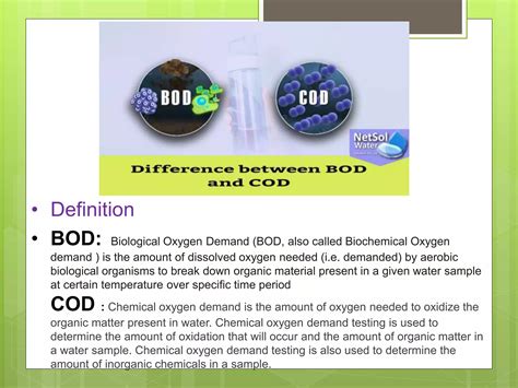 Cod And Bod Pptx