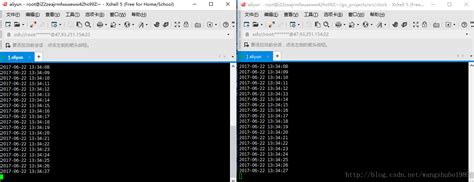 Go实战 实现一个并发时钟服务器the Way To Go 一蓑烟雨任平生 也无风雨也无晴 Csdn博客
