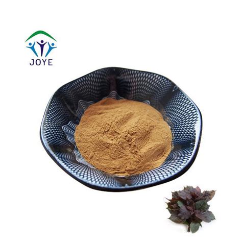 High Quality Perlla Leaf Extract Perilla Leaf Extract China Perlla Leaf Extract Perilla And