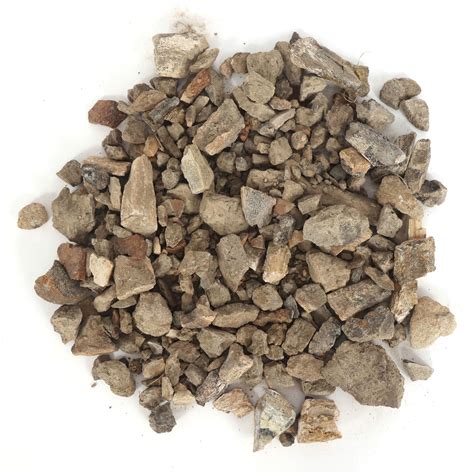 At Auction Dinosaur Hadrosaurus And Triceratops Fossil Specimens