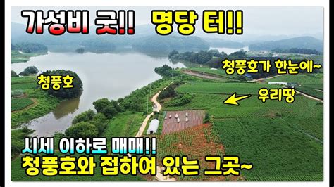 210청풍호 영구조망 명당터 회장님 별장용 토지 동호인주택지 추천매물 인근시세이하매매 반값매물 Youtube