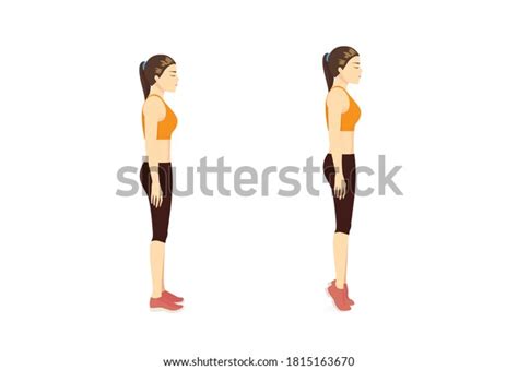 Sport Woman Doing Exercise Tip Toe Stock Vector Royalty Free 1815163670
