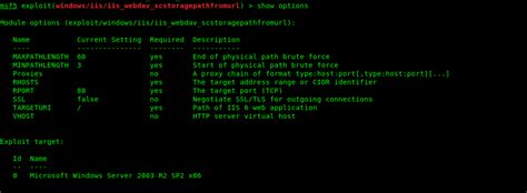 Hackthebox Granny Writeup Whatinfotech
