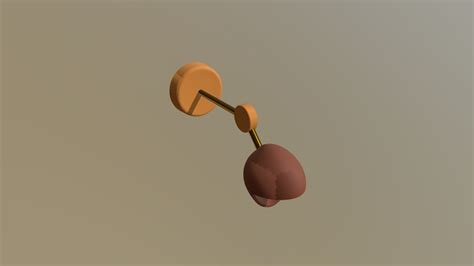 Coconut Lamp D Model By Danielshukrun Eb Sketchfab