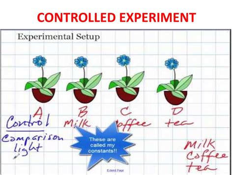 LIFE SCIENCE 6TH GRADE. - ppt download