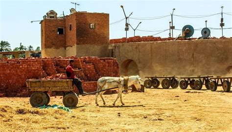 أن يُبنى التاريخُ بالطّوب الأحمر رحلة متأمّلة في صناعة الطّوب