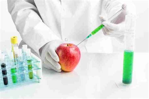 Adulteration Tests For Food Quality Ammagenomics Lab Chennai