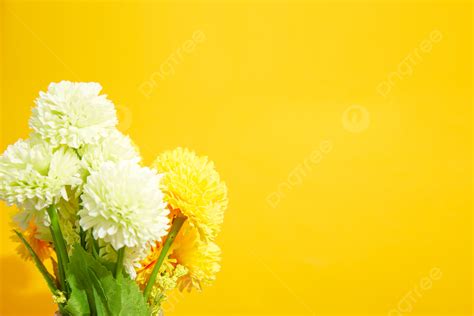 Bộ Sưu Tập Chất Lượng Cao Top 999 Hình Màu Vàng đầy đủ độ Phân Giải 4k